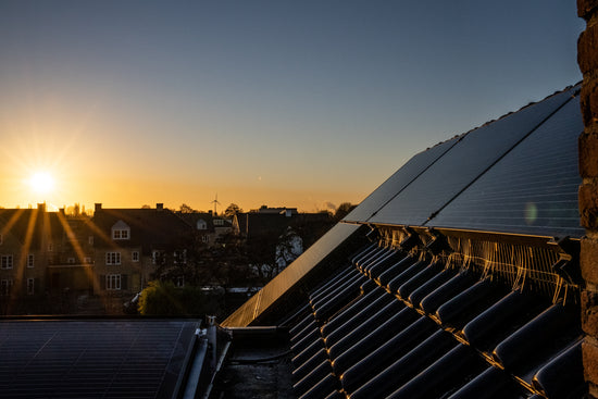 Meet BirdBlocker | Solar Panel Bird Proofing – We Protect Solar